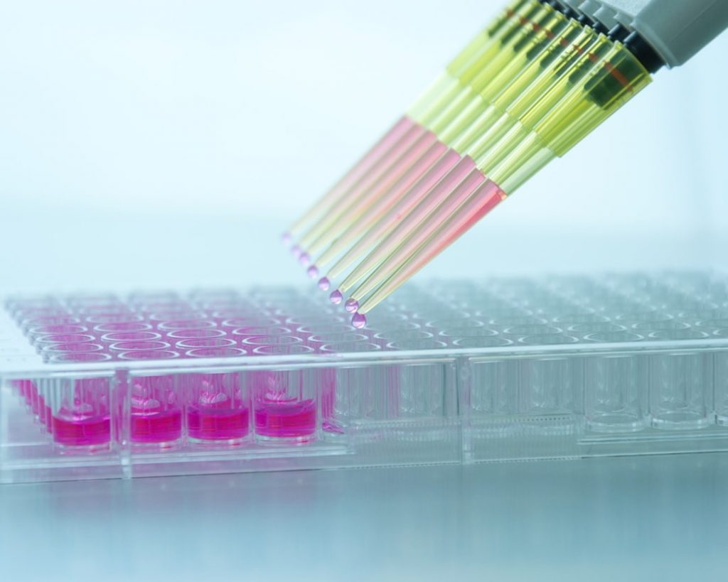 Joining the Pieces in Algal Biotechnology - GreenCoLab