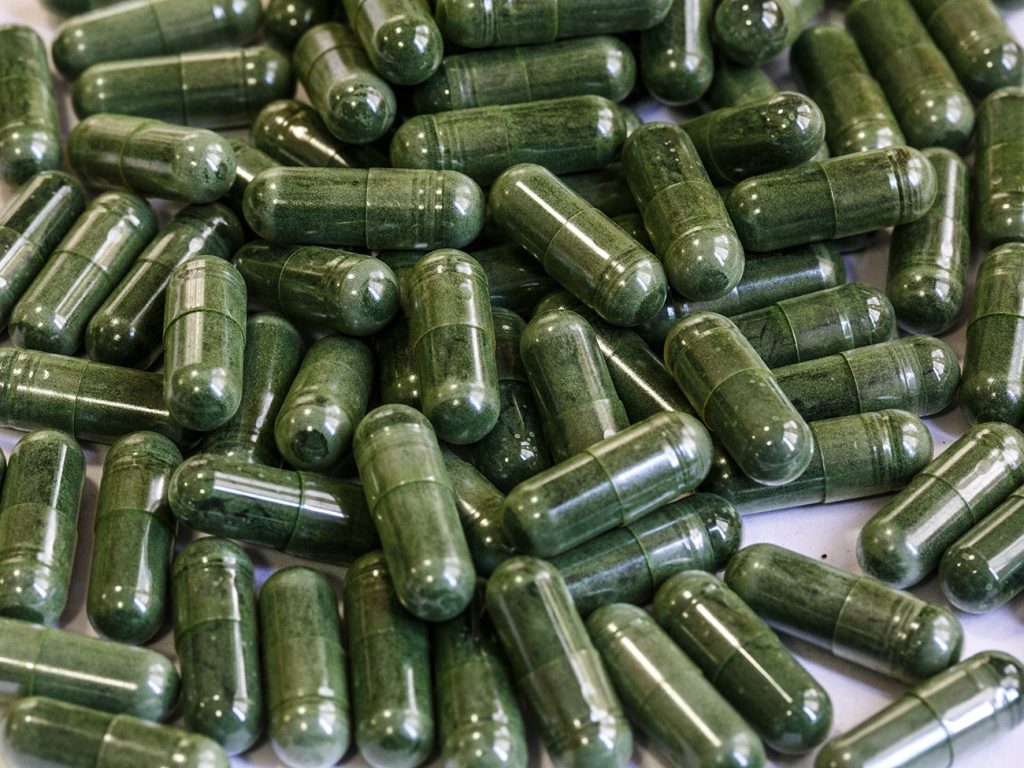 GreenCoLab WHY ALGAE - Our Nature and Science Behind Algae World