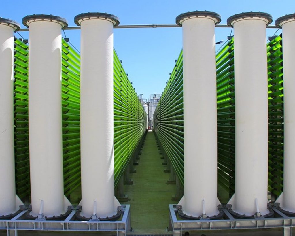 GreenCoLab WHY ALGAE - Our Nature and Science Behind Algae World