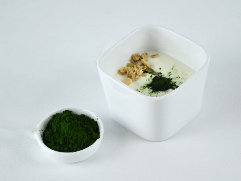 GreenCoLab WHY ALGAE - Our Nature and Science Behind Algae World