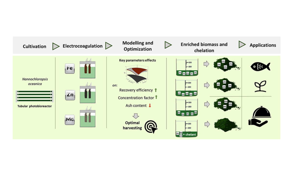 GreenCoLab Publications - ORIGINAL Article in Bioresource Technology