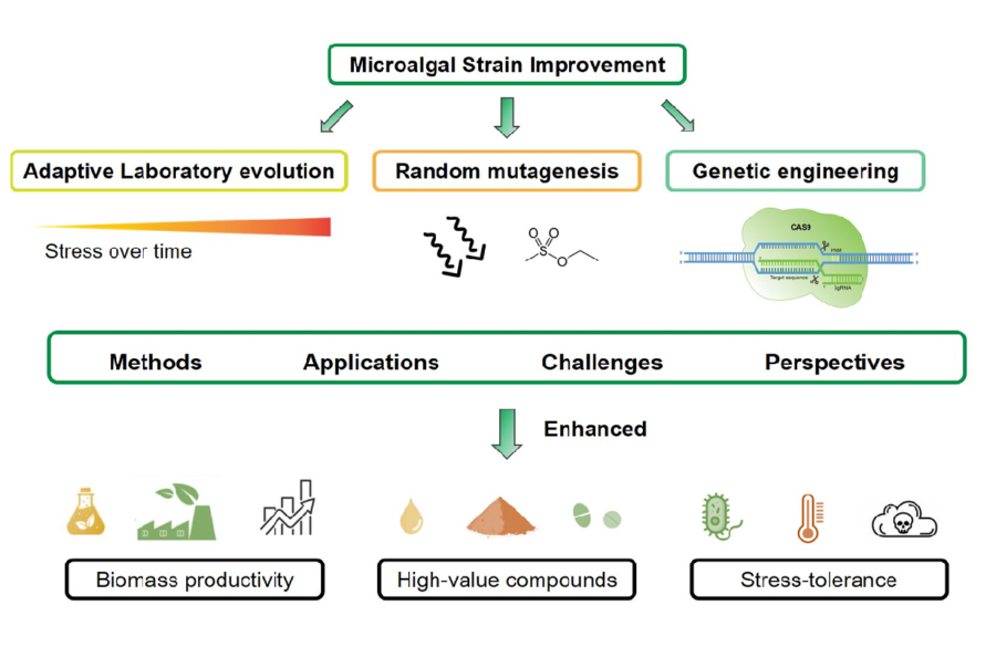 GreenCoLab PUBLICATIONS - Discover more about them