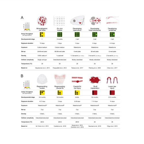 GreenCoLab Publications - ORIGINAL Article in Pharmaceuticals