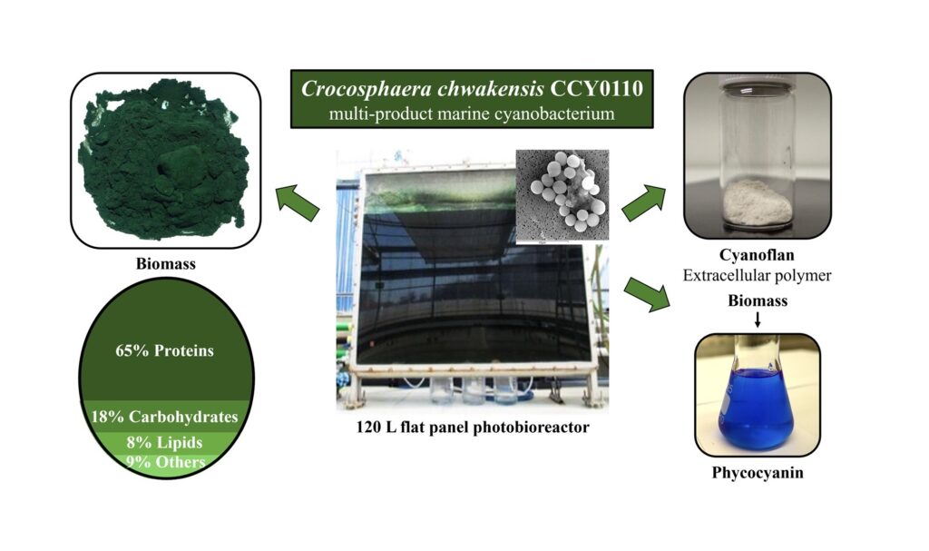 GreenCoLab Publications - Original Article in Algal Research