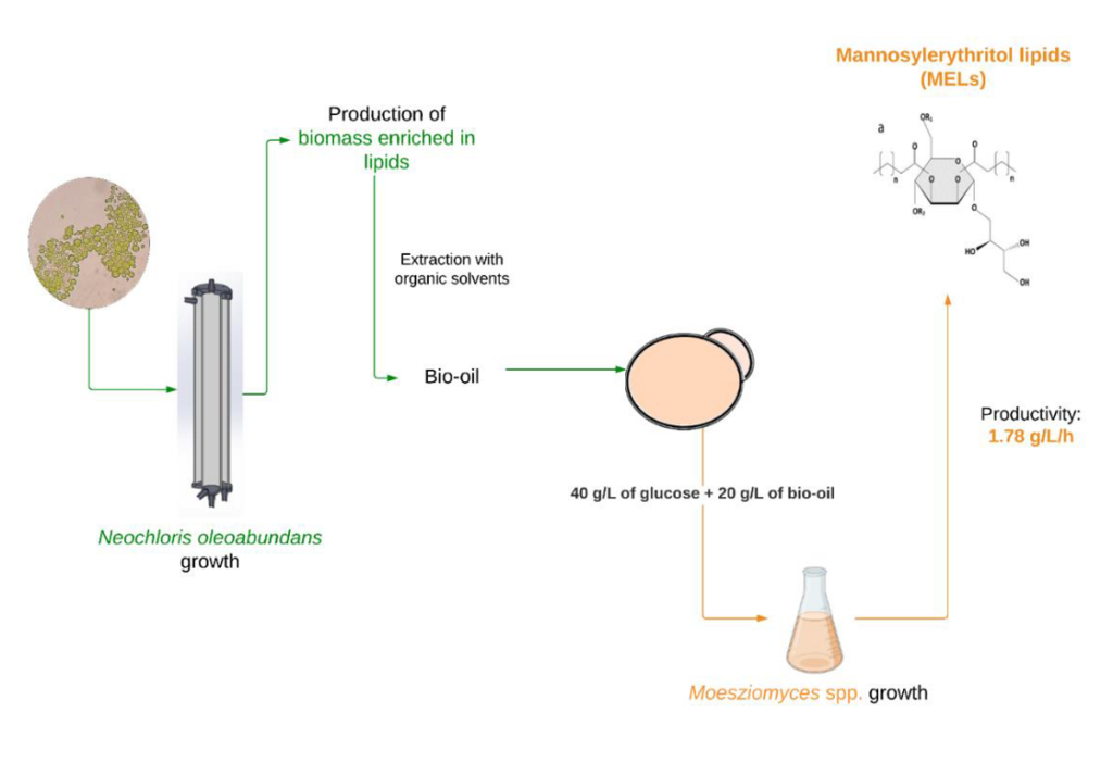 GreenCoLab Publications - Original Article in Microorganisms