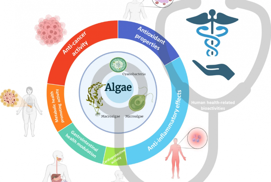 Joining the Pieces in Algal Biotechnology - GreenCoLab